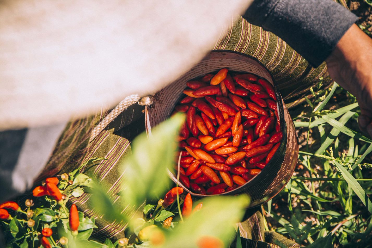 The McIlhenny Company Keeps Tabasco Sauce Grounded in 153-Year-Old ...