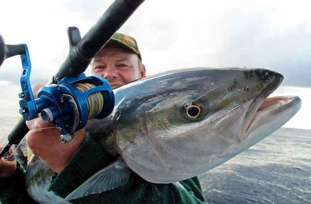 This Southern California Reel Manufacturer Has an Angle on the Fishing ...